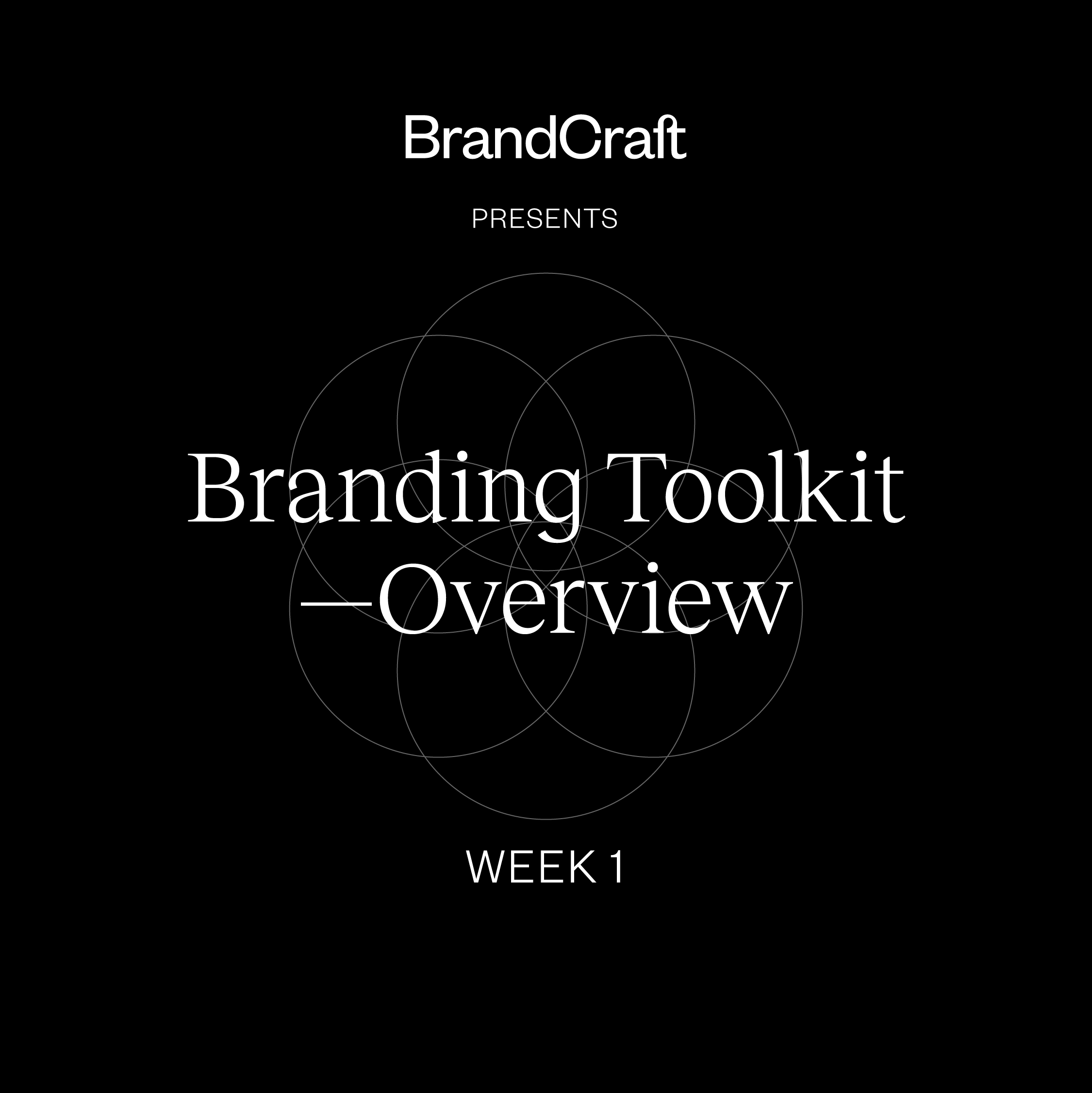 Branding Toolkit Overview — Brighton Design and Branding Agency ...